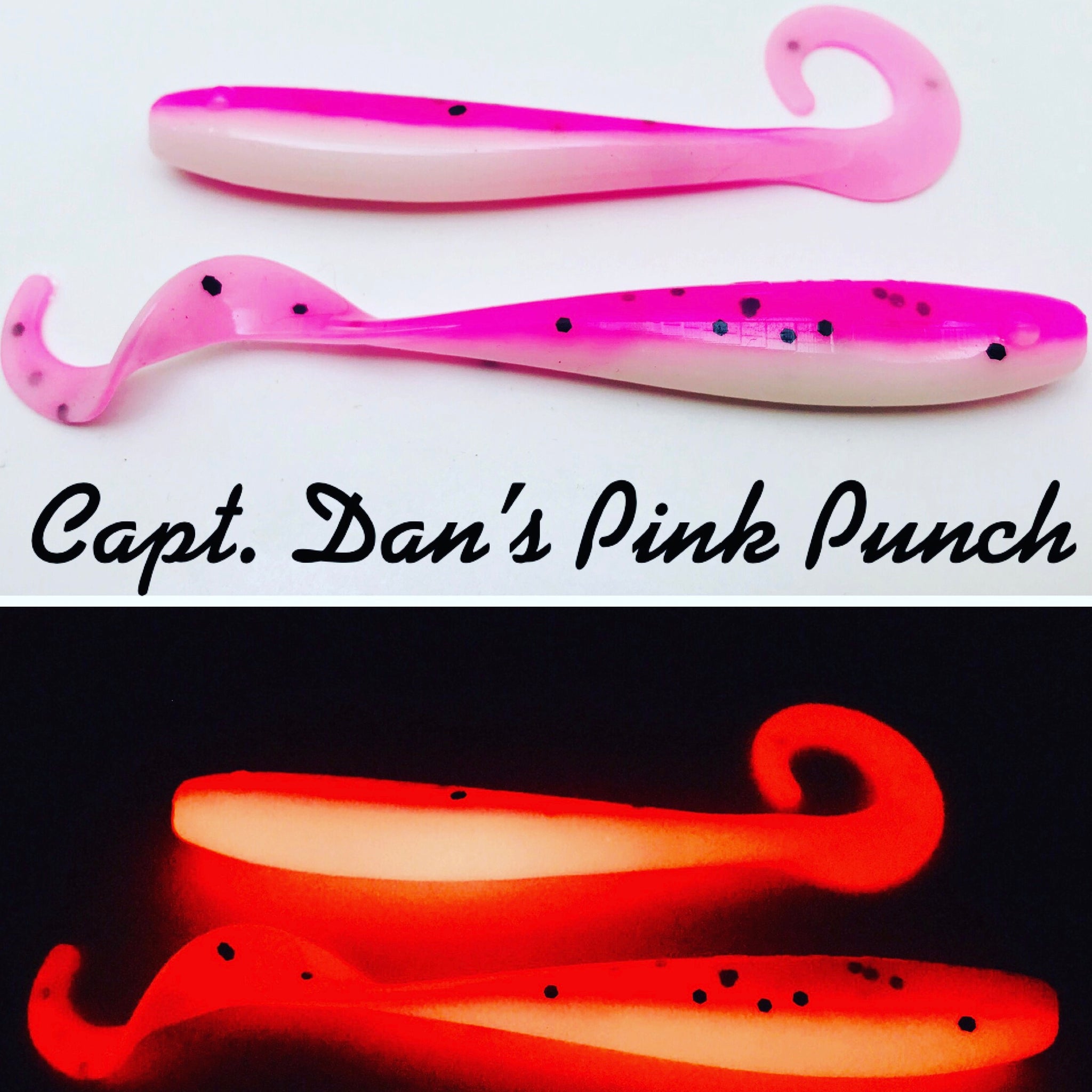 A.M. Fishing Lures 4" - 8 Count (Multiple Colors) – Waterloo Rods