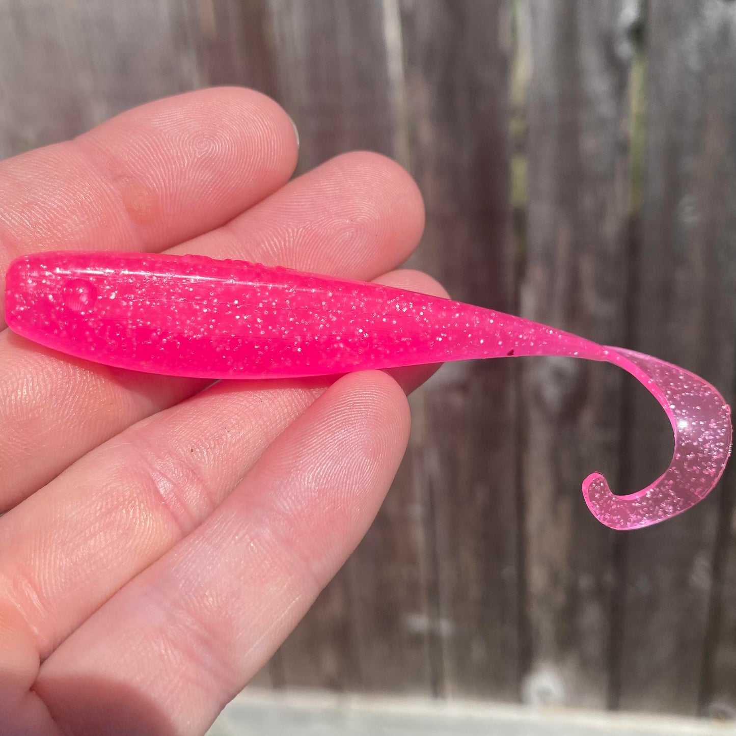 A.M. Fishing Lures 4" - 8 Count - Limited Editions – Waterloo Rods